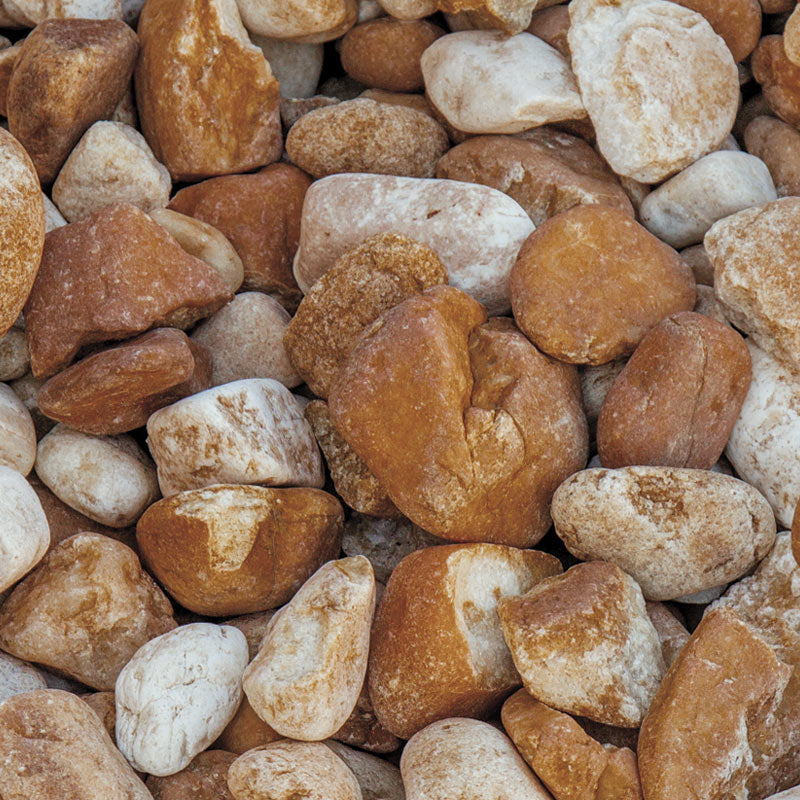 Brown River Rocks - Extra Large For Sale Jacksonville FL – Earth Source