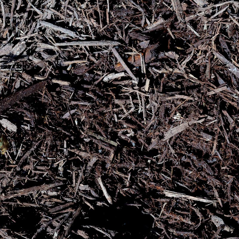 Chocolate Mulch – Earth Source