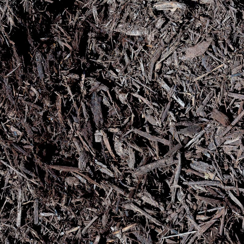 Chocolate Mulch – Earth Source